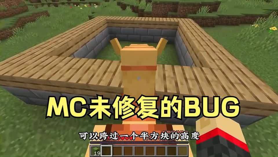 我的世界:MC那些至今都还未修复的BUG,来看看你知道多少?