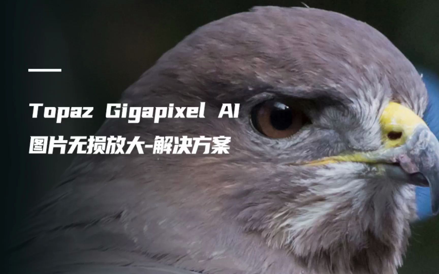 Topaz Gigapixel AI~2分钟,教你一个图片无损方法六倍的方案~