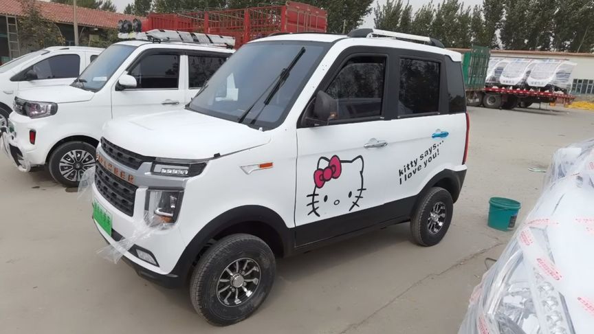 55岁大姐定制的油电两用代步车,15800的大车型,还能做房车