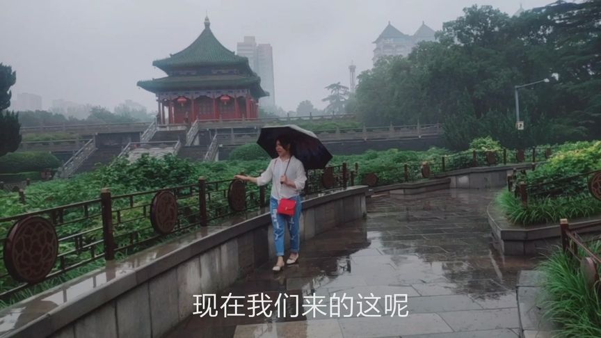 妹纸雨天逛公园发现好多只小动物,它们是只有下雨天才会出来吗?