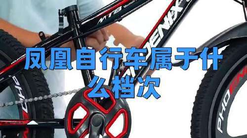 凤凰自行车:昔日国货之光,如今档次之谜大揭秘!