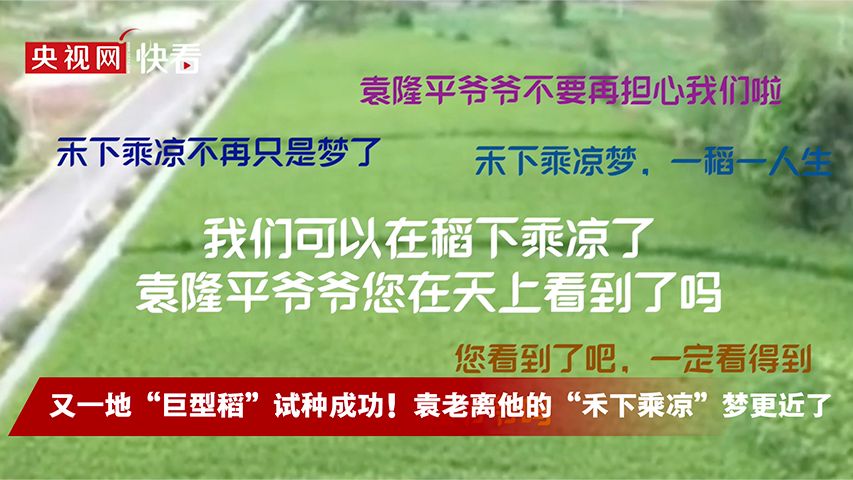 又一地“巨型稻”试种成功!袁老离他的“禾下乘凉”梦更近了