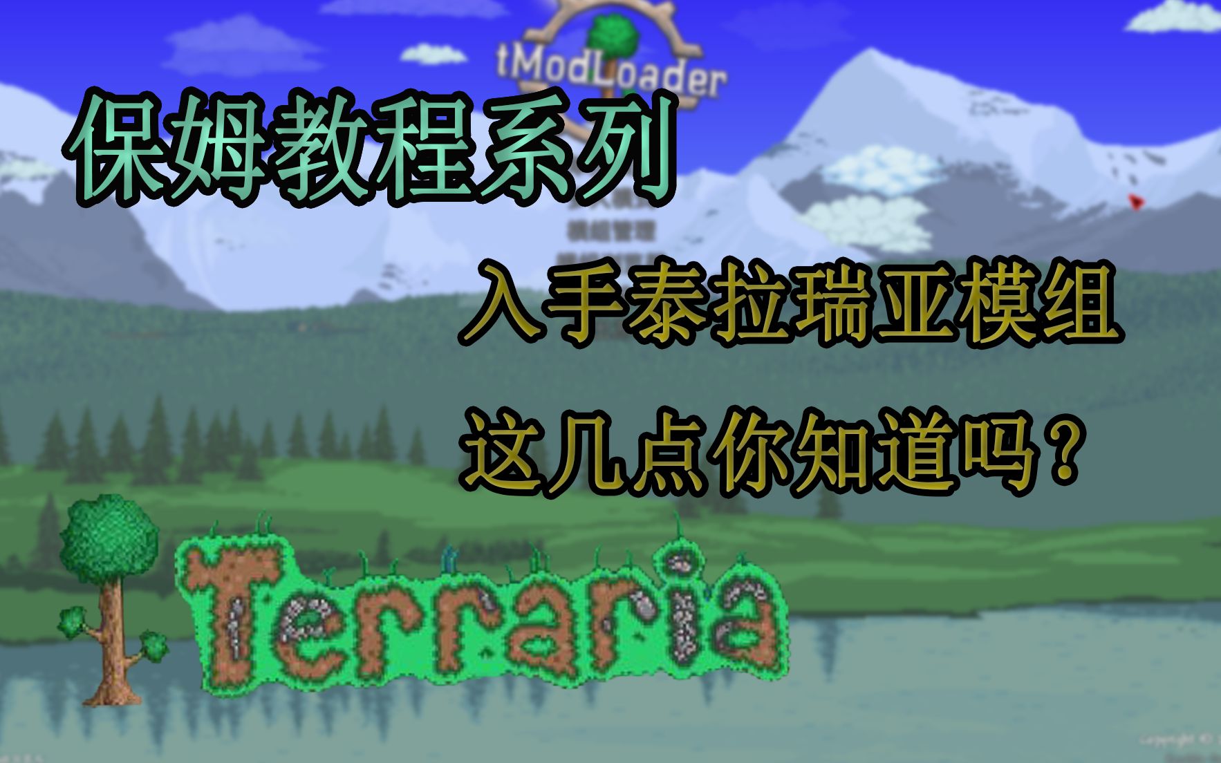 第一次入手泰拉瑞亚模组,你应该知道的一些知识