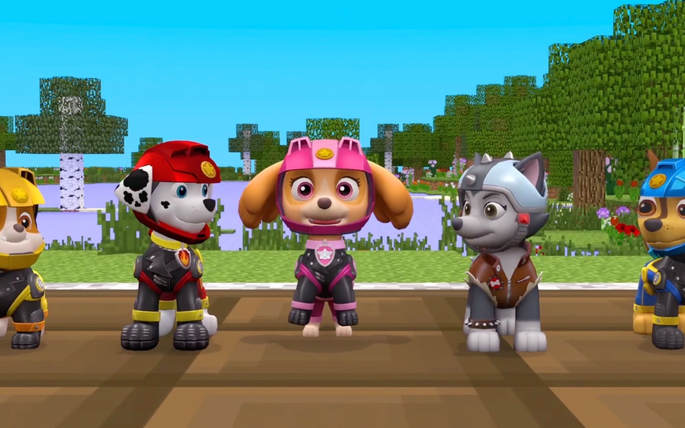 儿童动画:孩子们快看汪汪队立大功来了,阿奇和灰灰开始比赛了