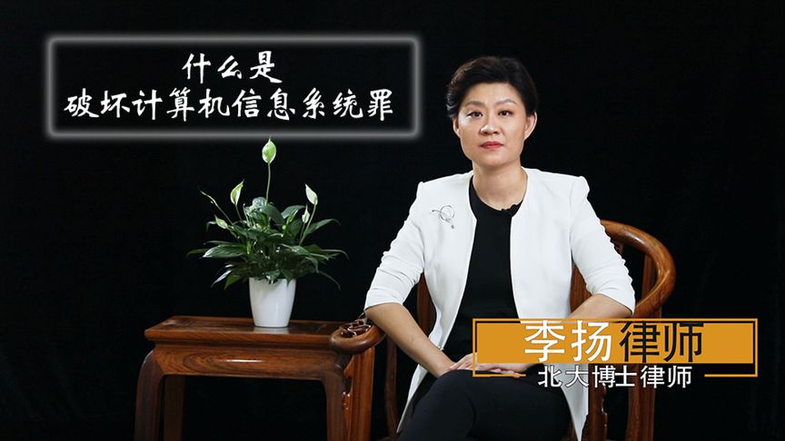 44北京刑事律师李扬教授讲:“什么是破坏计算机信息系统罪“