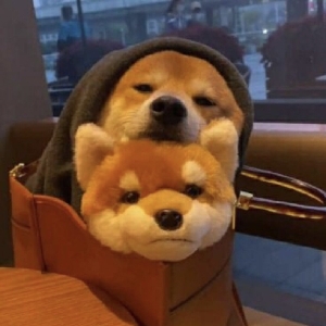 patrickhaoduo 