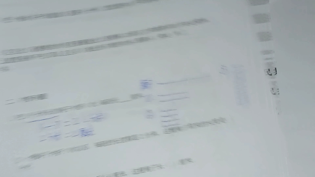 对折问题-三年级上册-数学培优