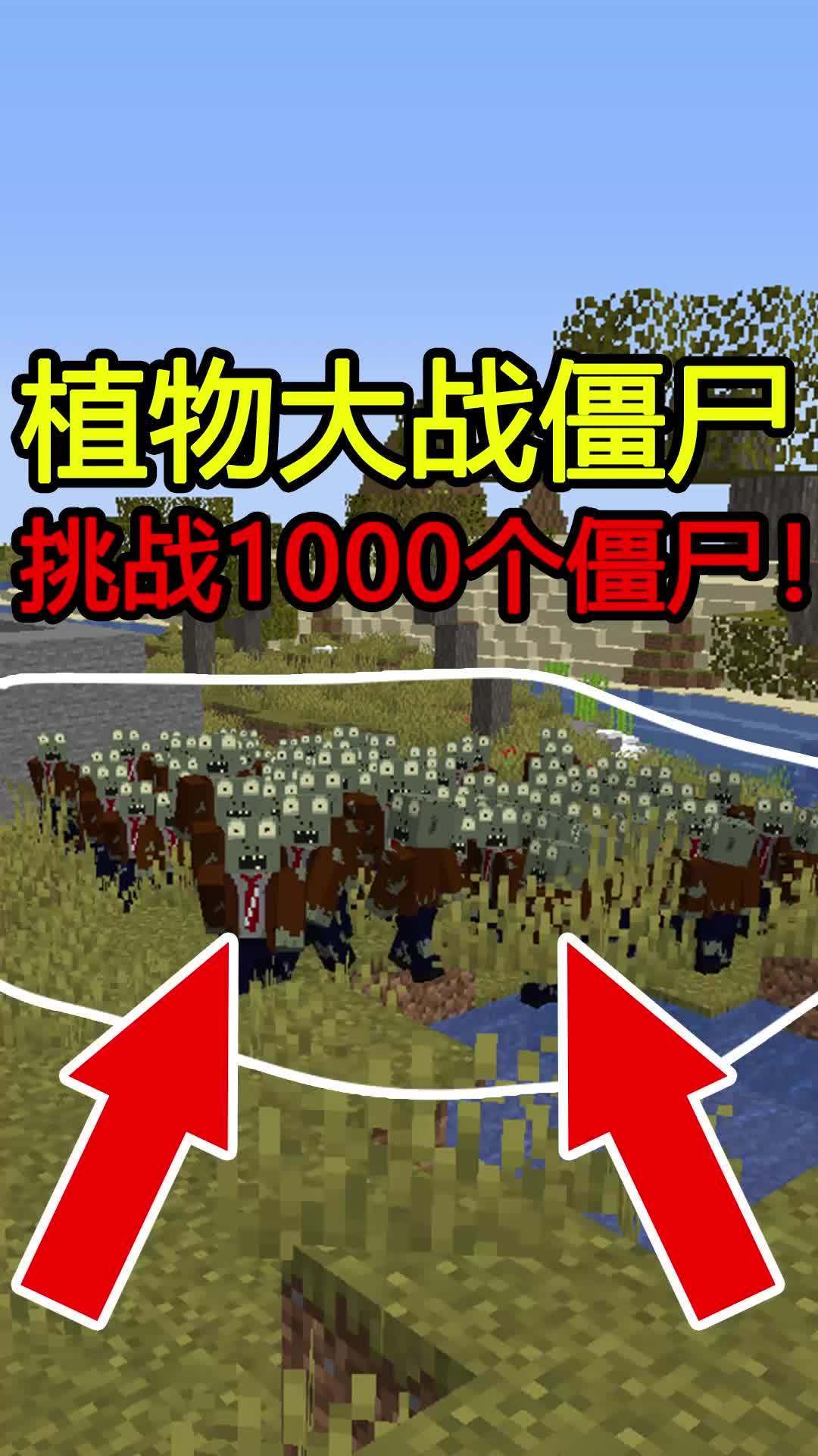 我的世界:植物大战僵尸,挑战1000个僵尸!