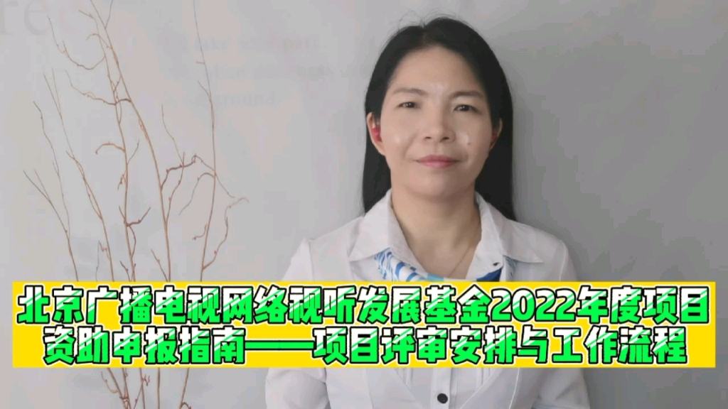 ...视听发展基金2022年度项目资助申报指南——项目评审安排与工作流程