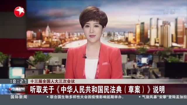 十三届全国人大三次会议:听取关于《中华人民共和国民法典(草案)》说明