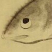 暴打 