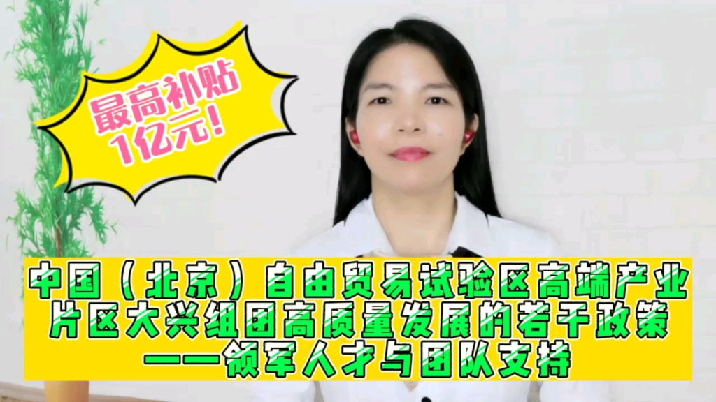 中国(北京)自由贸易试验区高端产业片区大兴组团高质量发展的若干...