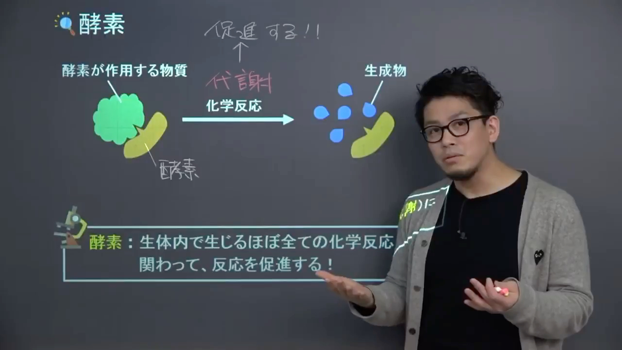 酵素(コウソ)の紹介 蛋白酶的功能介绍 What you need to know about ...