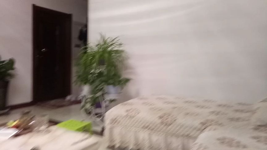 小少解说:方格画