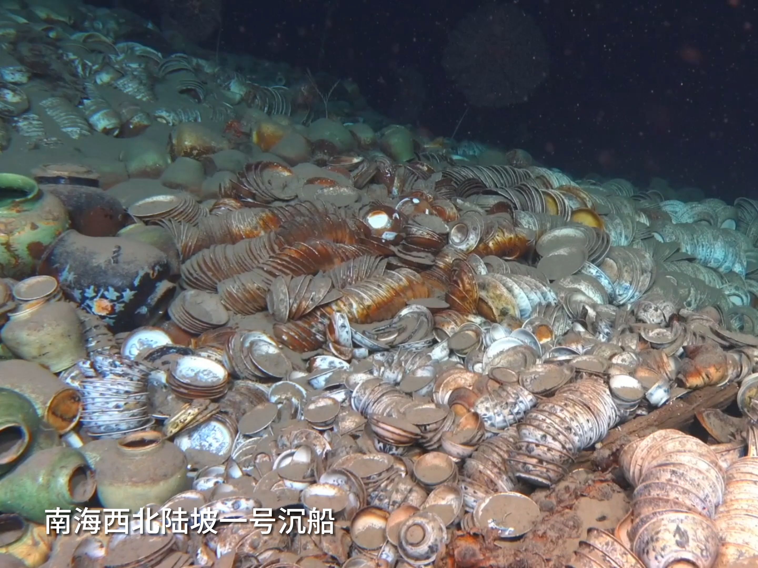 【“蔚蓝--未来”海洋主题短视频征集和传播活动作品展映】--#蔚蓝...