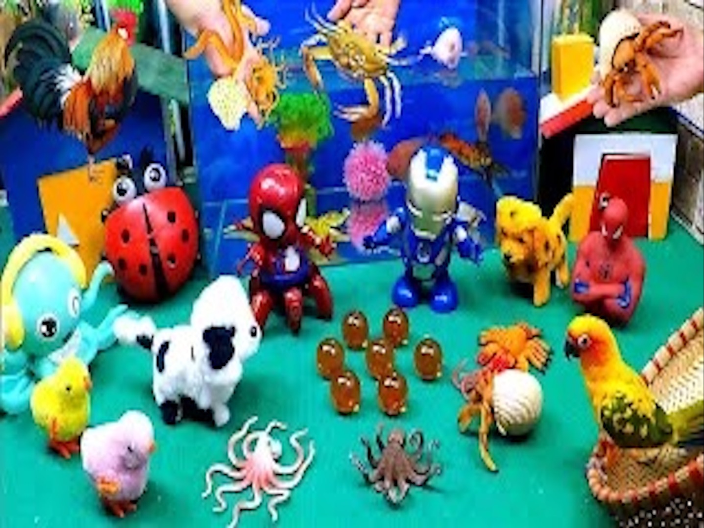 可爱动物视频合集,鳄鱼、乌龟、小鸡、鸭子、鳄鱼、兔子、金鱼