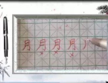 最实用的硬笔书法讲座第二十二讲:“月”的写法