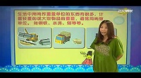 小学数学三年级上册02 人教版同步教学视频_标清