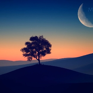 爱养无脊椎动物 