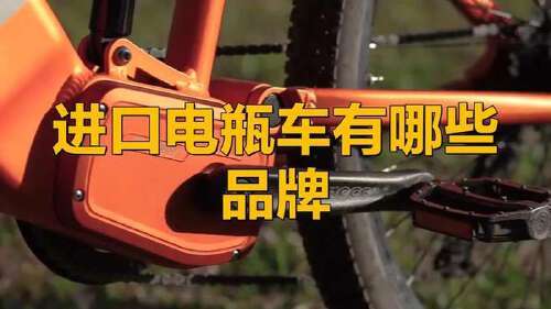 全球十大进口电动车品牌盘点,谁才是性能王者?
