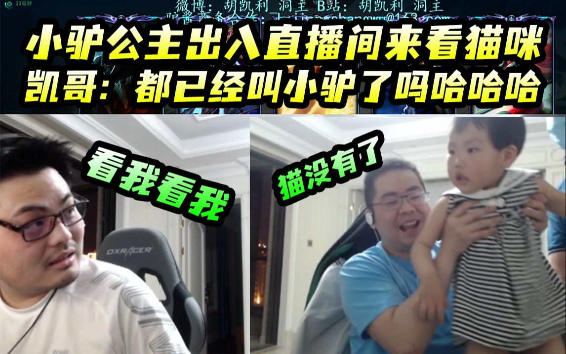 驴酱公主出入直播间查看猫咪,胡凯利:猫咪已经跟上个小伙离开了,弹幕:...