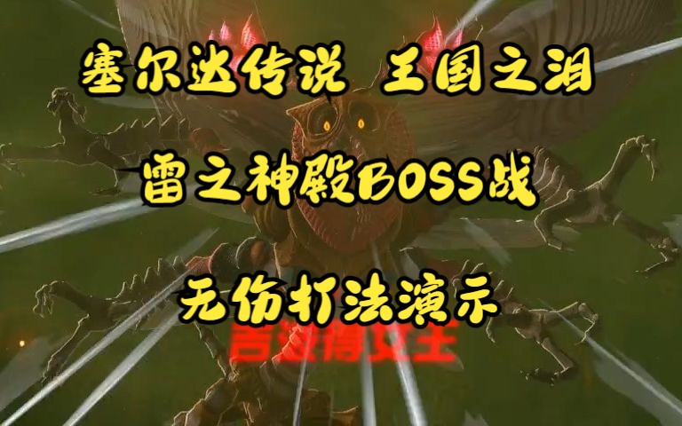 塞尔达传说 王国之泪 雷之神殿BOSS战 无伤打法演示 仅供参考_单机...