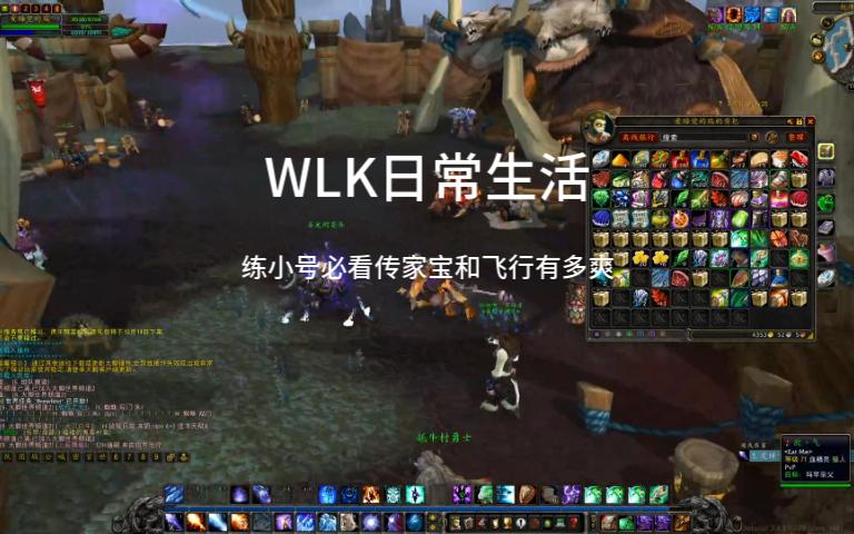 【WLK日常生活】练小号必看传家宝和飞行有多爽