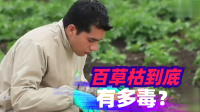科学近距离第二季 第83集 百草枯到底有多毒?致死率高达97%,为何说...