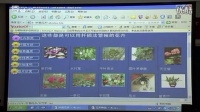 信息技术与学科教学整合优秀课例:小学劳动技术《扦插法繁殖花卉》...