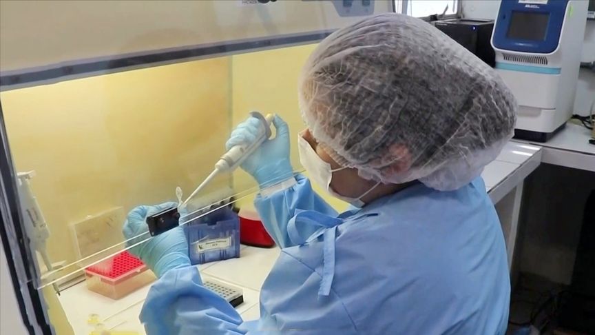 证据越来越多!多国新冠病毒出现时间点提前,去年底或是关键时刻