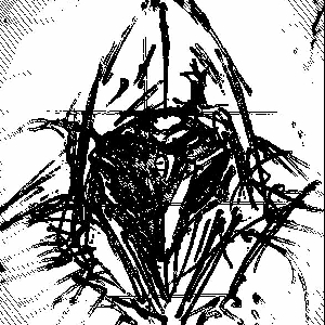 M灬Knight 