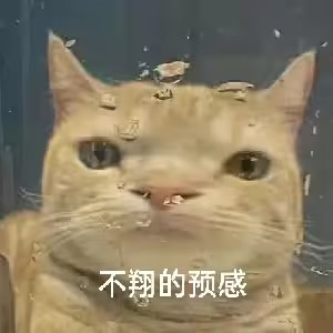 自觉心境已有如明镜 