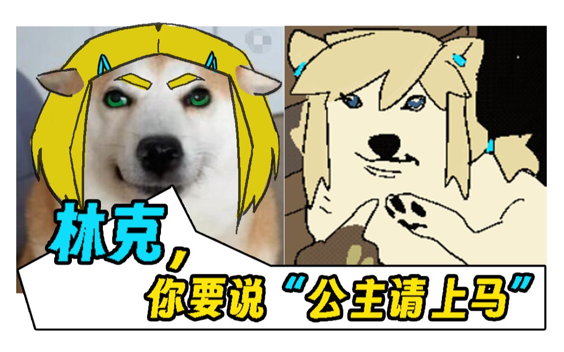 进来看塞尔达林克的婚后生活