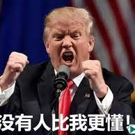 人均懂王大B站 
