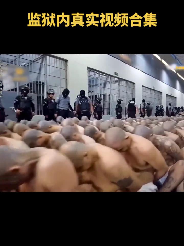 请遵纪守法,是人就要懂规 距。不做违法乱纪的事。自由 是多么珍贵。