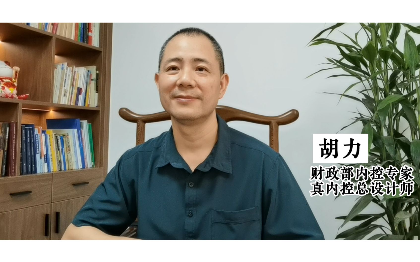 真内控胡力:内控系统建设有哪些思路?(上)