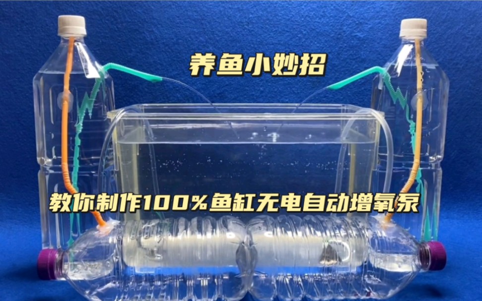 鱼缸停电怕鱼缺氧?虹吸原理制作“增氧泵”,停电再久也不怕!