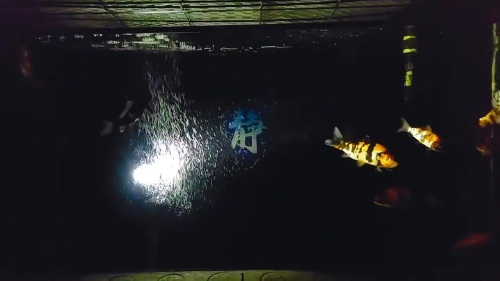 数据驱动下的深层思考,科学原理背后的理性之光