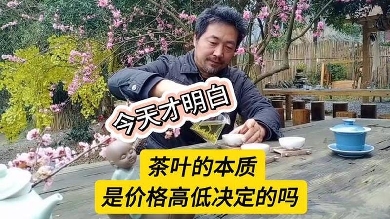 茶叶本质是由价格高低决定的吗?今天总算是搞明白了
