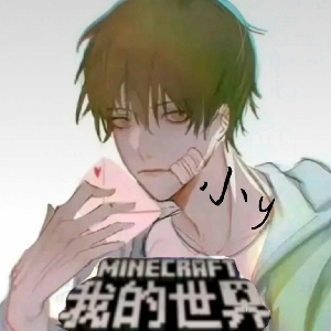 所y 