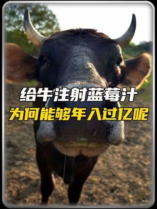 这是一场残忍的动物实验