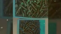 无锡弹簧工厂专业生产AT气动执行器弹簧