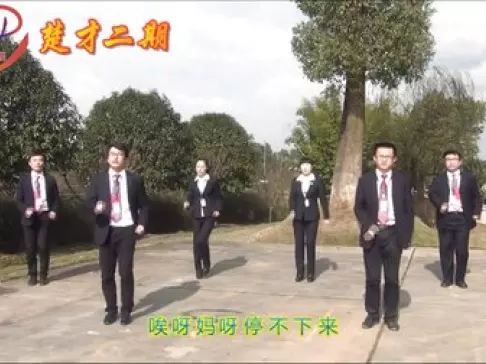 踩踩踩 ( 保险公司早会 简单易学)