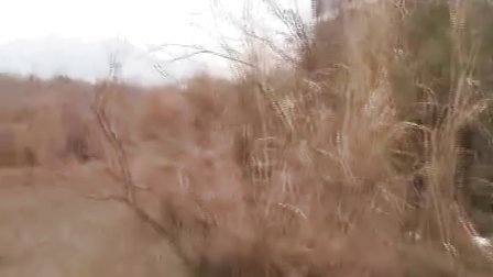 桂林野战俱乐部之反恐精英野战营2013.3.11官方网站 www.glcsx.com