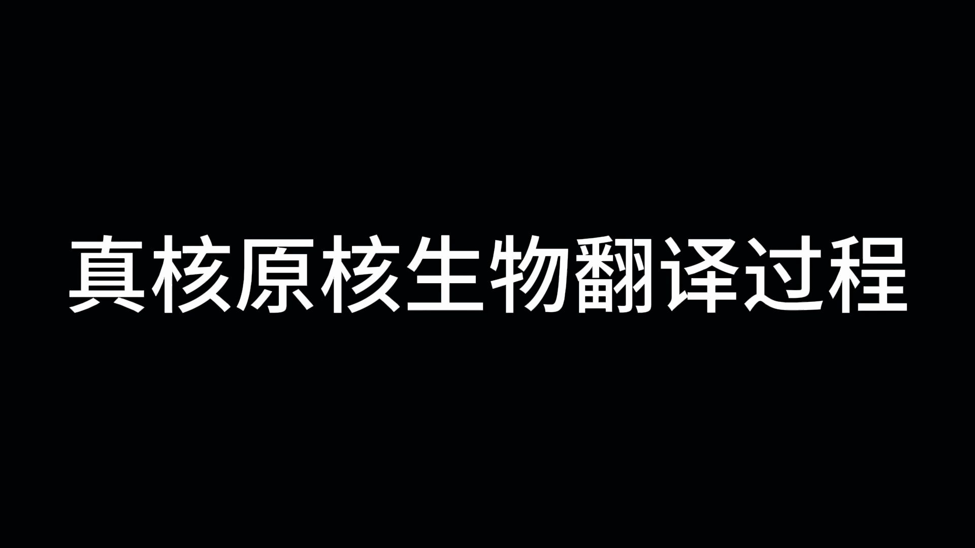 真核原核蛋白质翻译过程