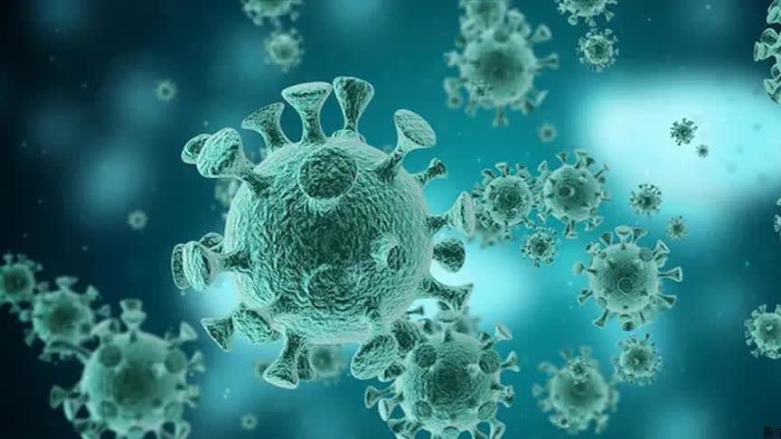 喜讯!深圳三院与清华合作,成功分离高效抗新冠病毒抗体