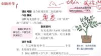 初中科学八下生物光合作用所需原料的实验和CO2浓度曲线易错点