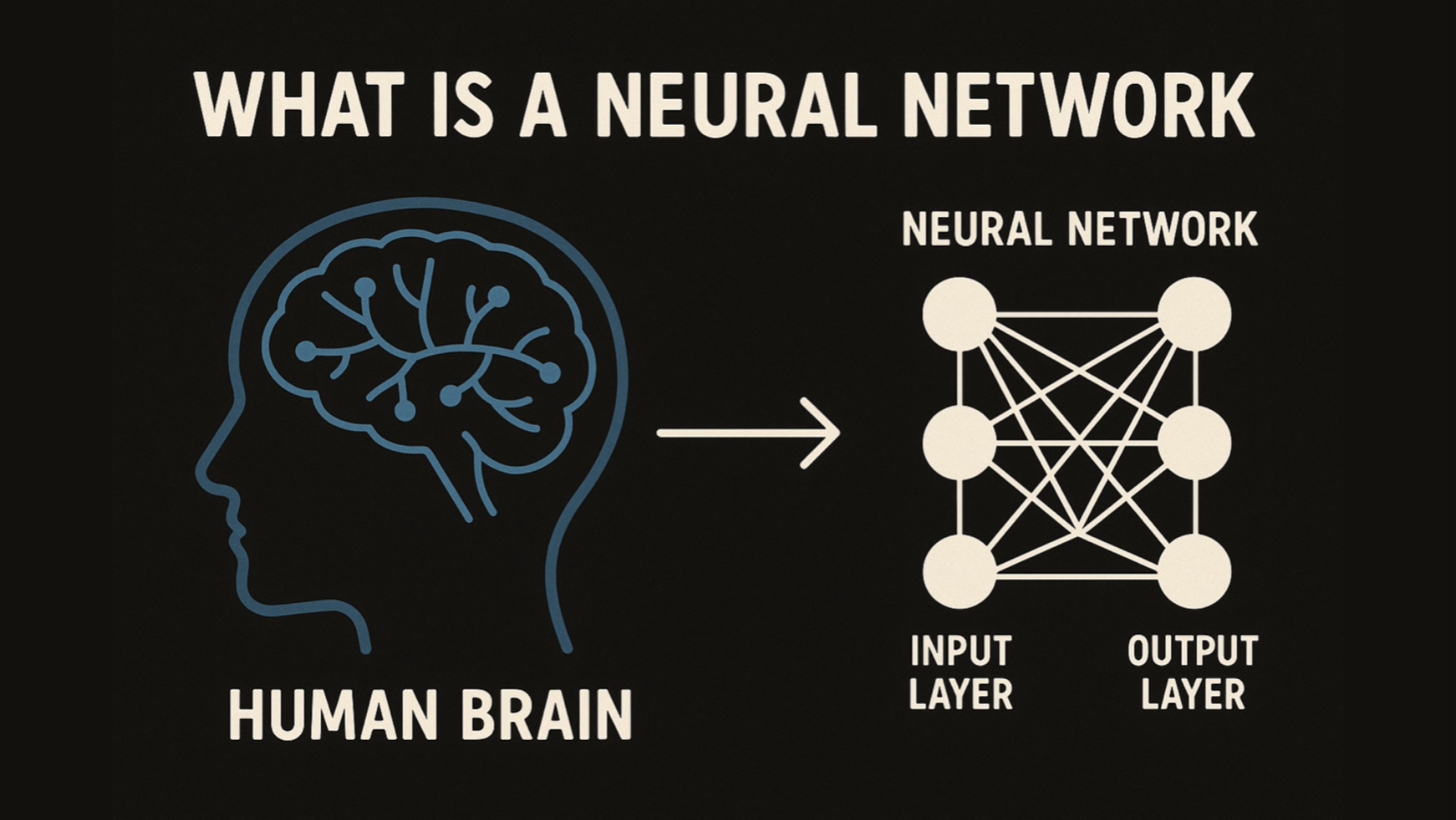 【科普向】什么是神经网络 数学原理|分类|应用( •̀ ω •́ )✧