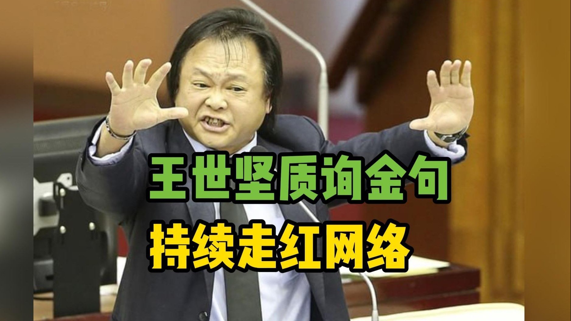 王世坚质询金句持续走红网络