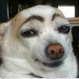 三角裤与西洋菜 